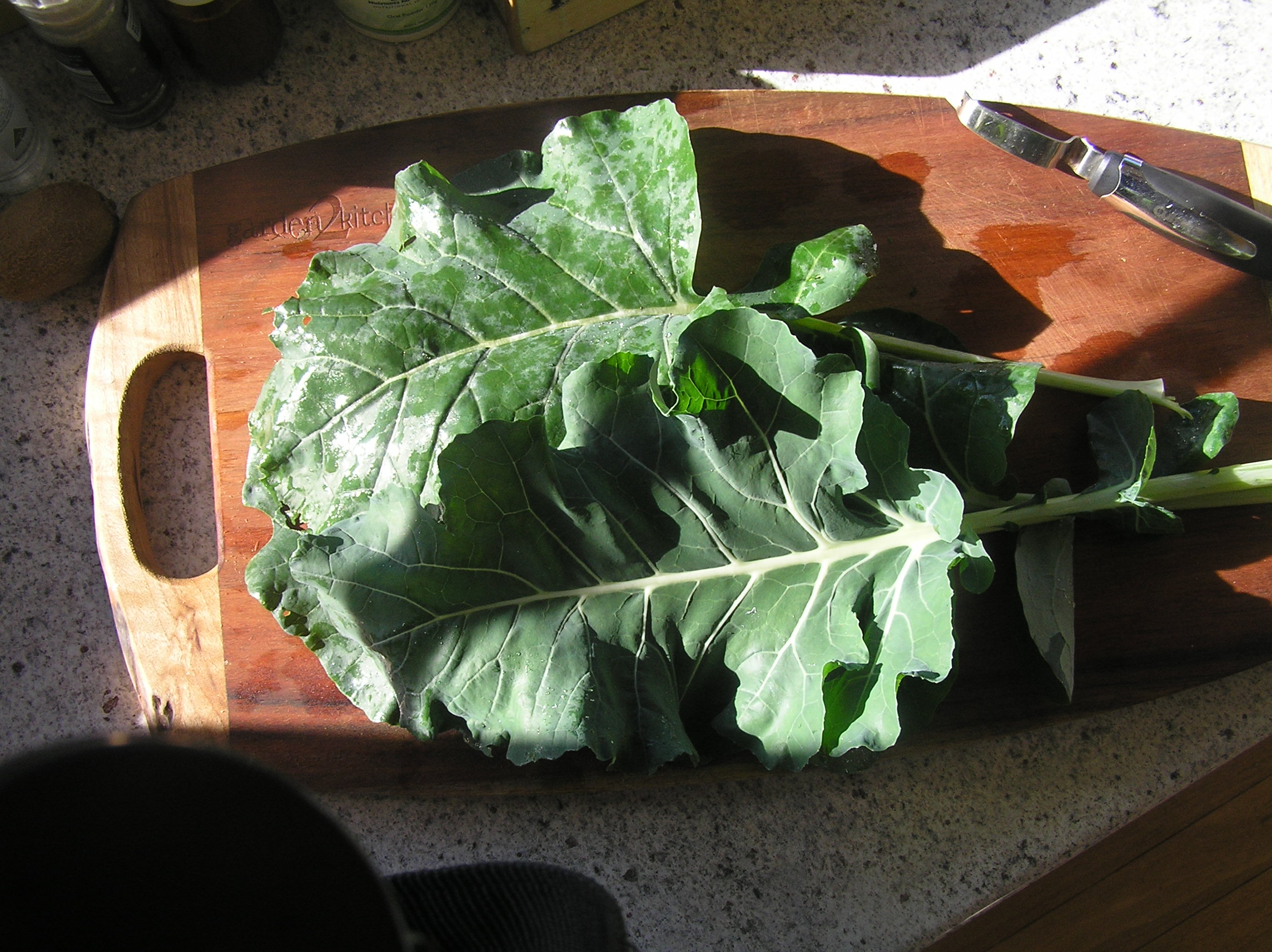 Eat your organic broccoli, leaves, stems and all - ABC Organic Gardener ...