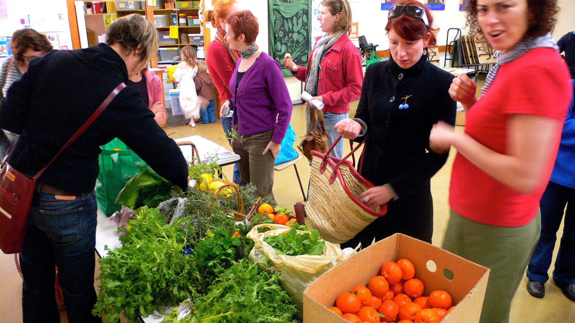 Urban Orchid - Catching Falling Fruit - ABC Organic Gardener Magazine