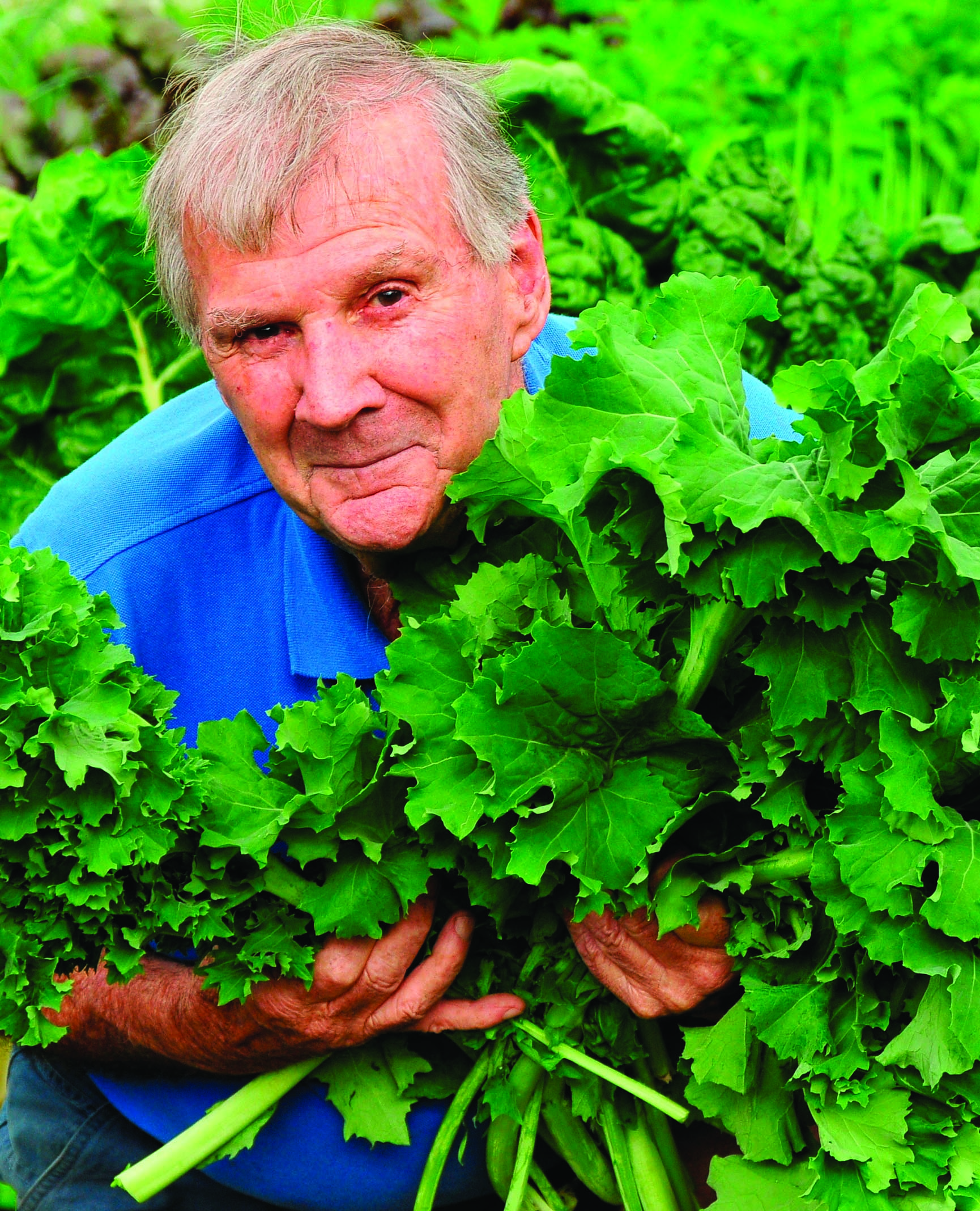 Kale is king - ABC Organic Gardener Magazine