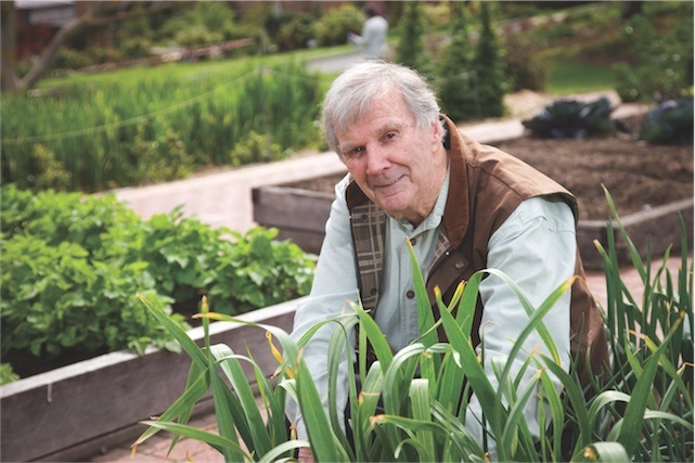 Patches of peace - ABC Organic Gardener Magazine