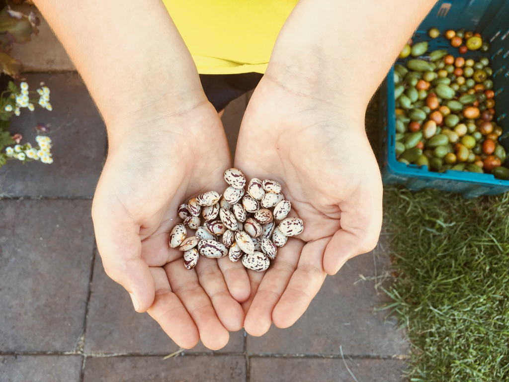 New seed security threat - ABC Organic Gardener Magazine