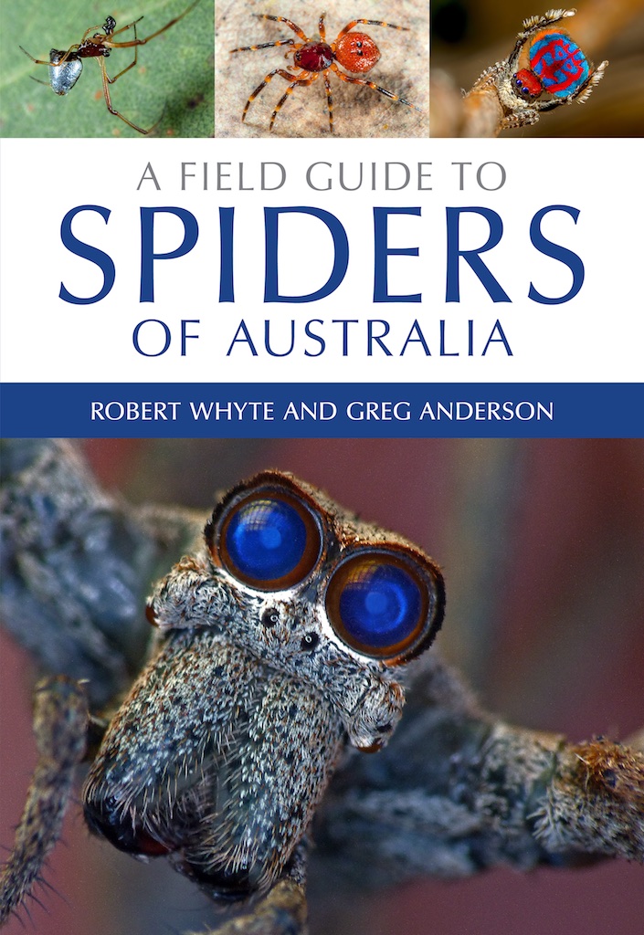 Spiders are special - ABC Organic Gardener Magazine