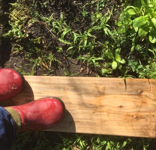 Soil Archives - ABC Organic Gardener Magazine