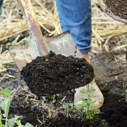 COMPOST: The 12 Keys - ABC Organic Gardener Magazine