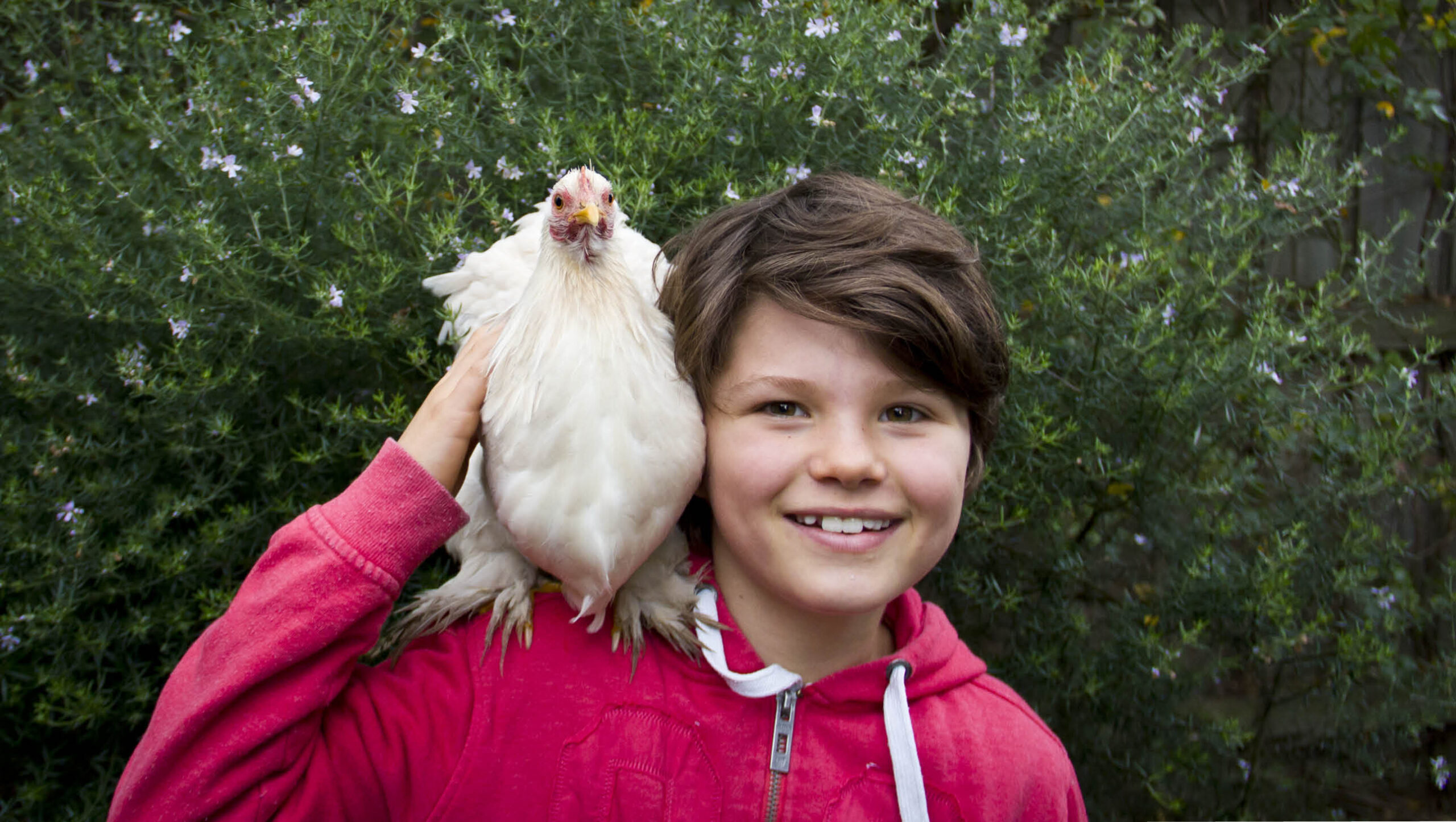 Feathered friends - ABC Organic Gardener Magazine