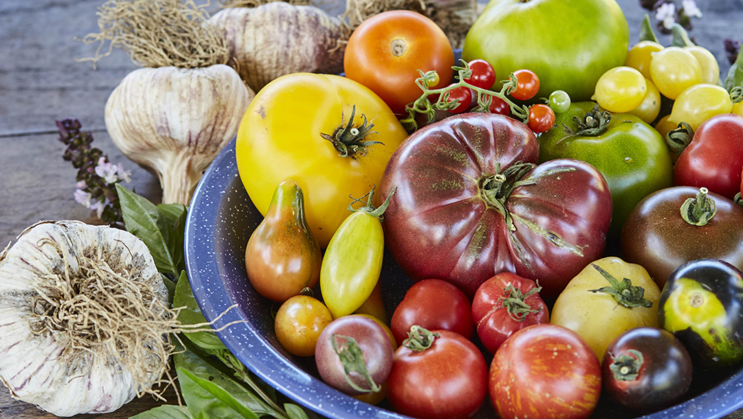 Top tomatoes to grow now! - ABC Organic Gardener Magazine