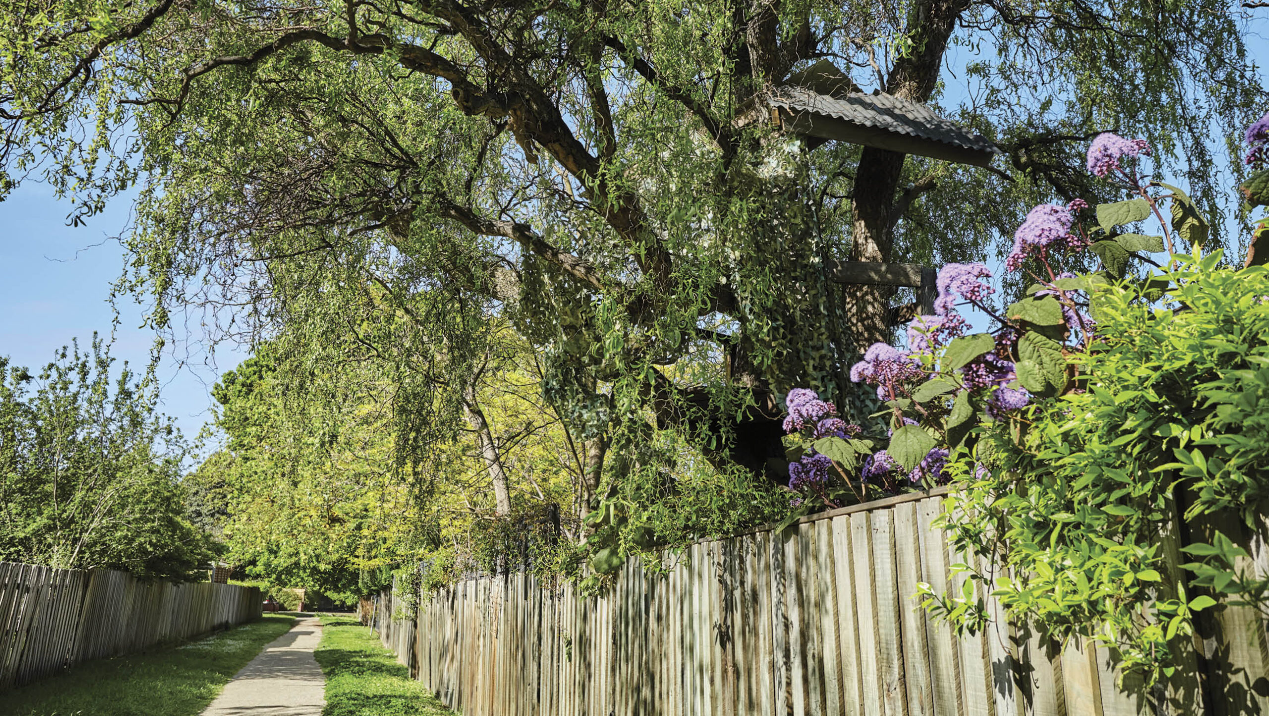 How trees cool homes in a warming climate - ABC Organic Gardener Magazine
