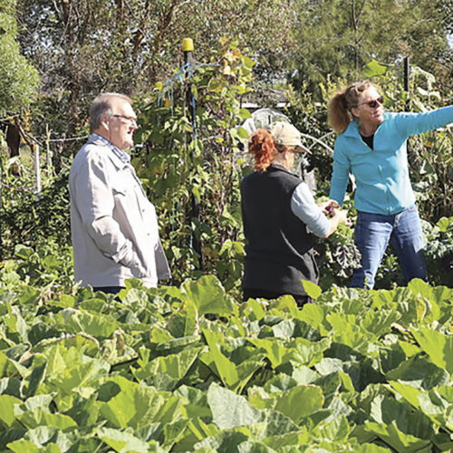 Growing a community garden - ABC Organic Gardener Magazine