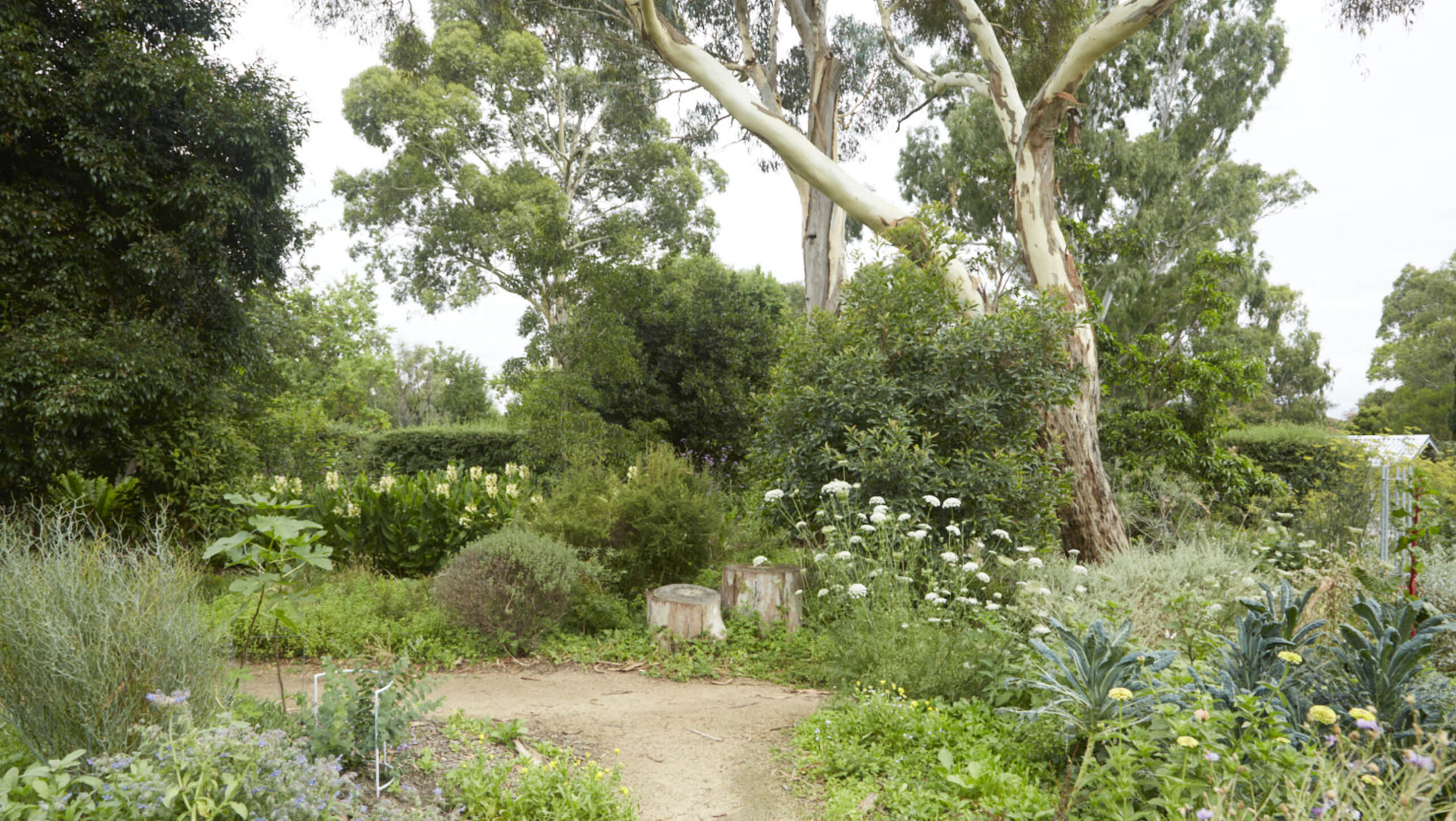 A garden for the senses - ABC Organic Gardener Magazine