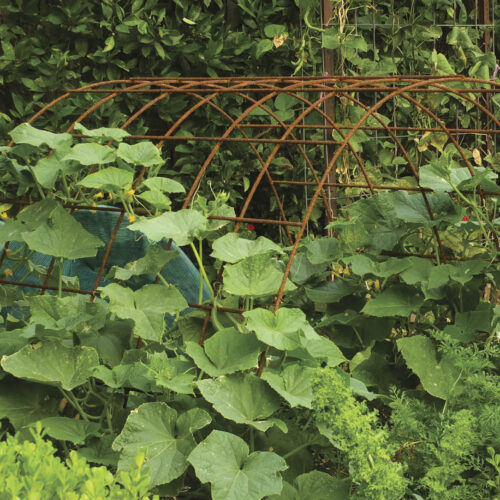 Build your garden Archives - ABC Organic Gardener Magazine