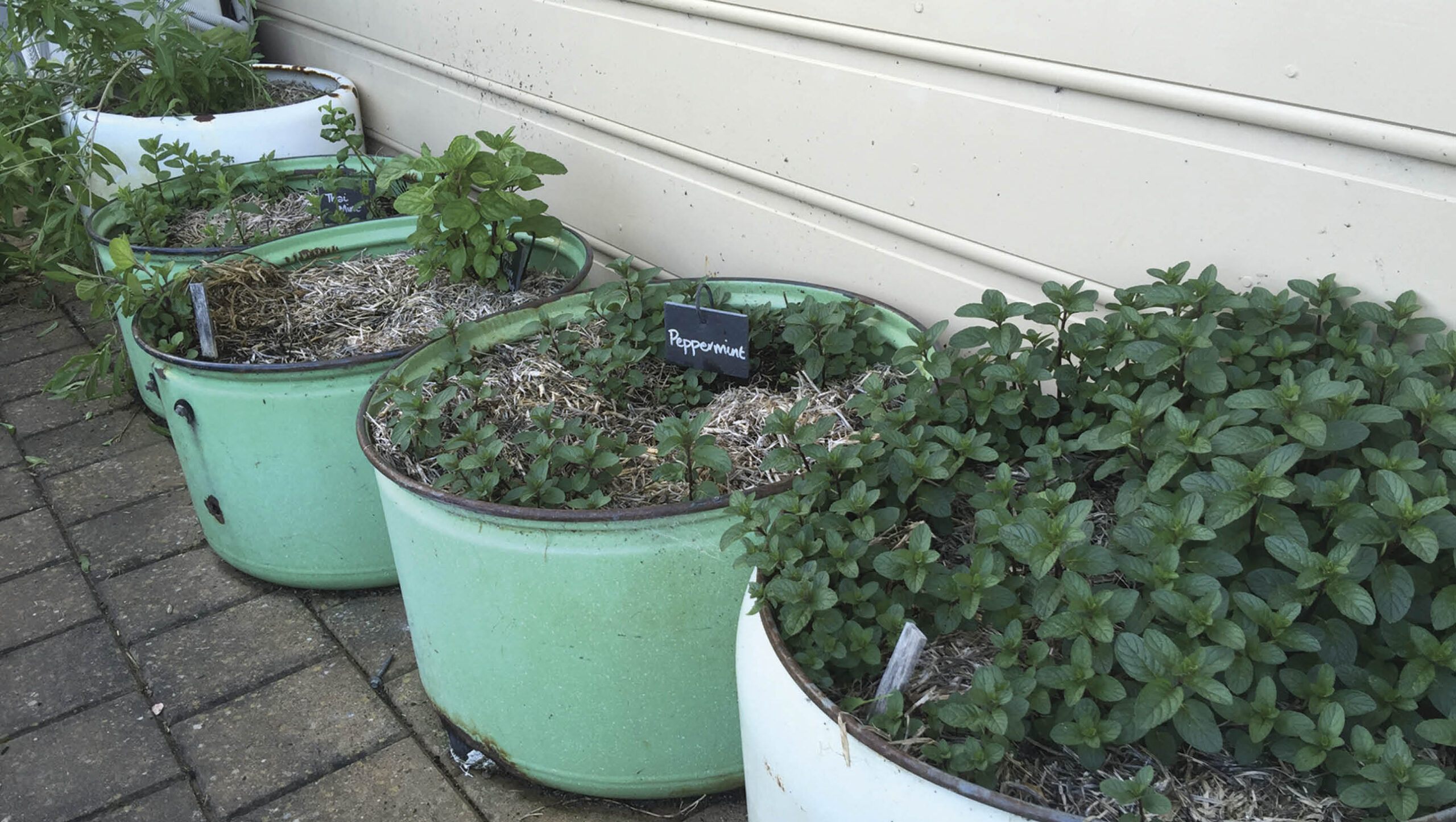 Small container wicking beds - ABC Organic Gardener Magazine
