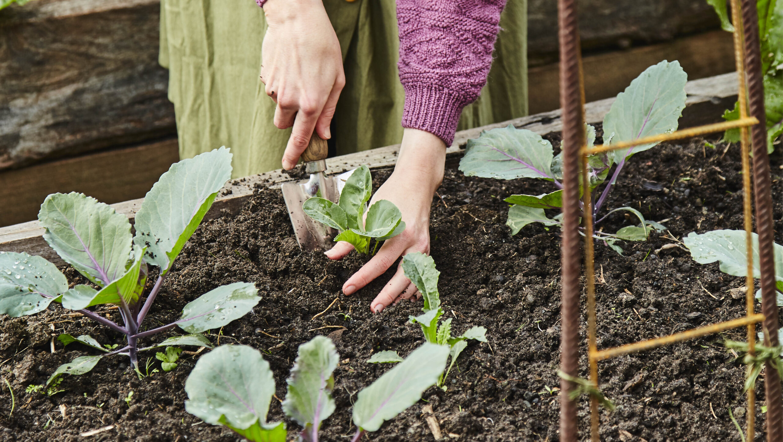 Your end of spring to-do list - ABC Organic Gardener Magazine