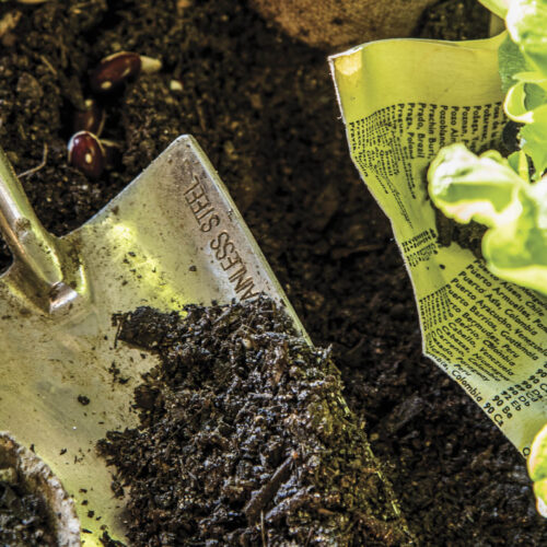 Lime-based whitewash - ABC Organic Gardener Magazine
