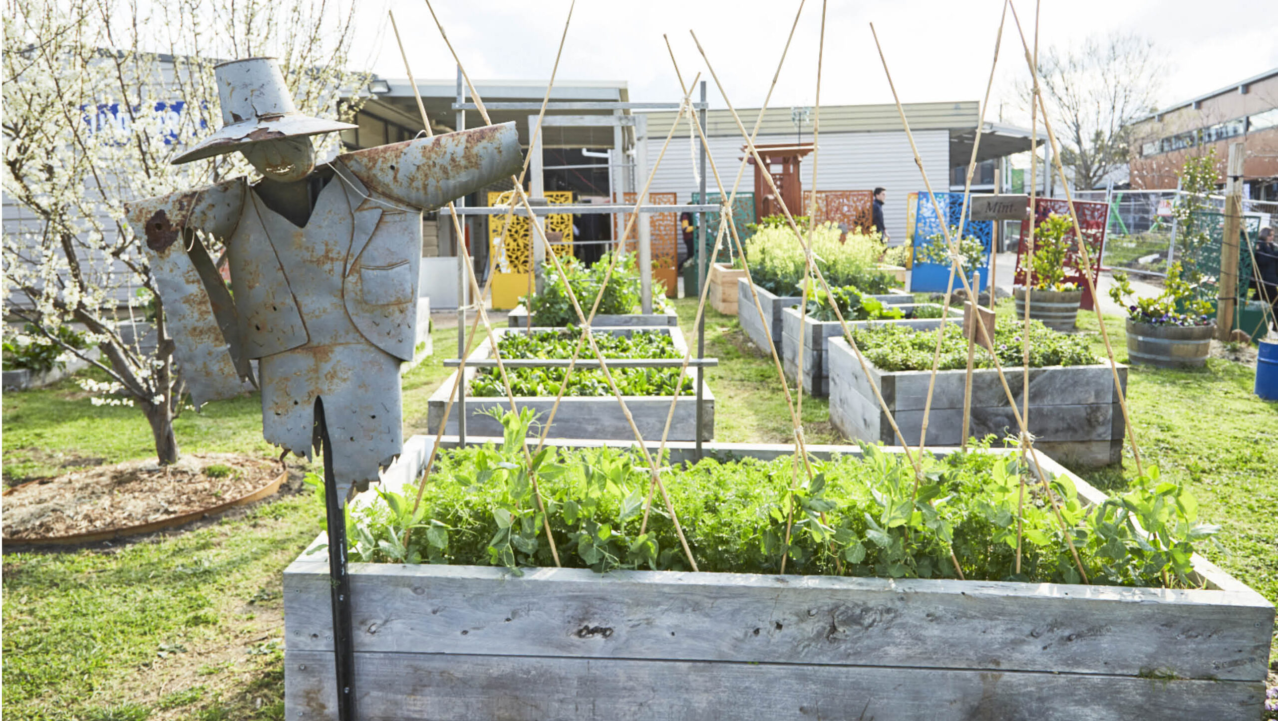 A green learning environment - ABC Organic Gardener Magazine