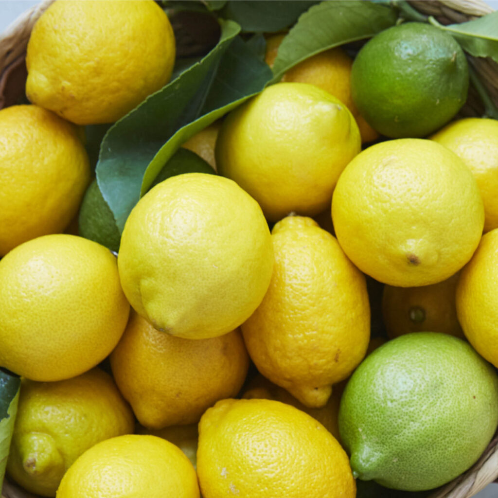 Cure for curly citrus - ABC Organic Gardener Magazine