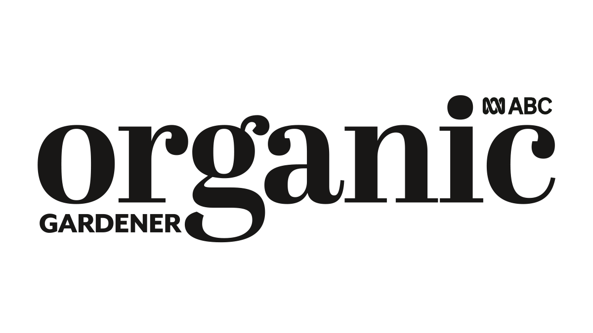 smoking garlic Archives - ABC Organic Gardener Magazine smoking garlic Archives - ABC Organic Gardener Magazine