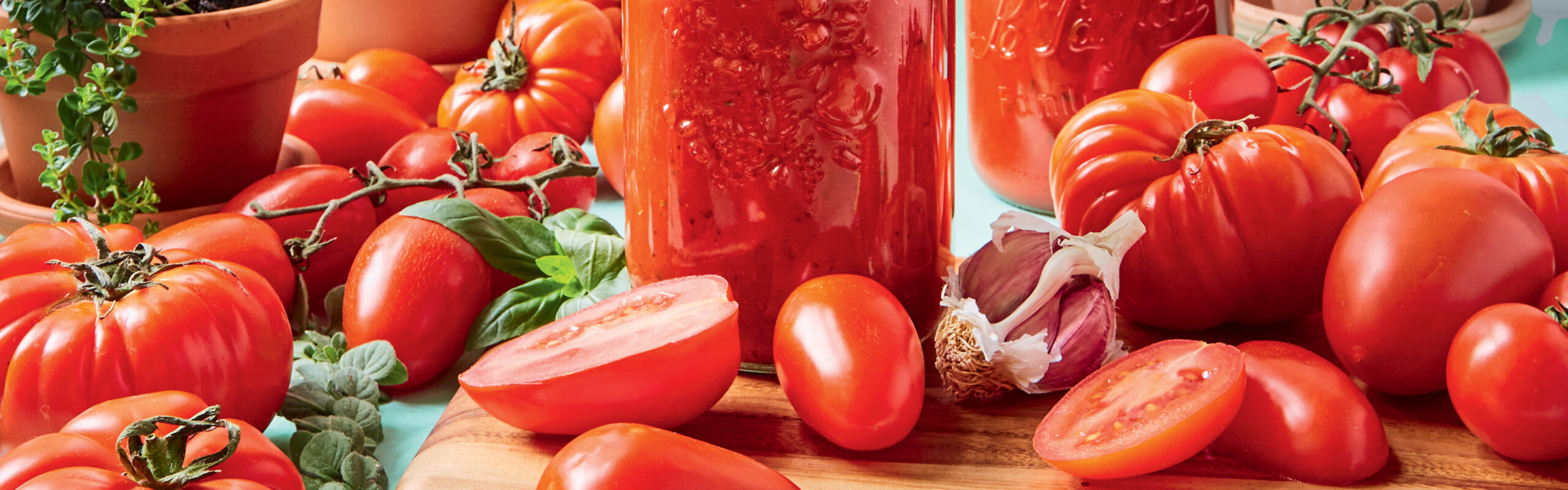 ABC Organic Gardener Magazine