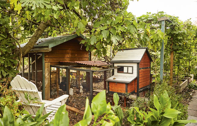 Choosing a chook house - ABC Organic Gardener Magazine